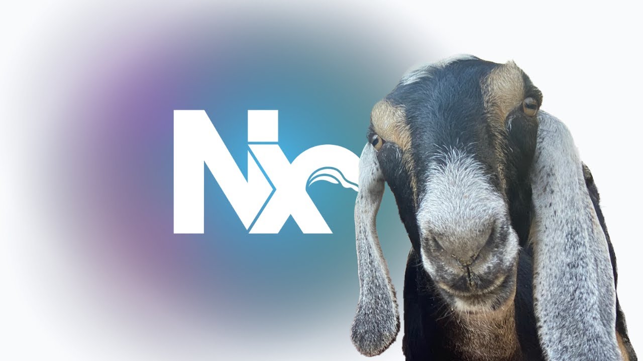 Understanding Nx: The Open Source Build System for Enhanced Developer ...