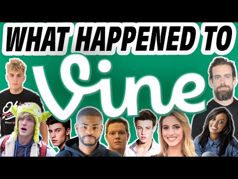 The Painful Demise of Vine