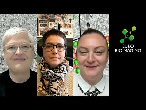 Volume EM from Euro-BioImaging