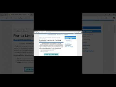 Visual Step by Step Guide to Florida LLC