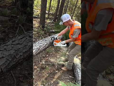 The ONLY Chainsaw You’ll Need | Stihl MSA 220 Battery Powered Chainsaw