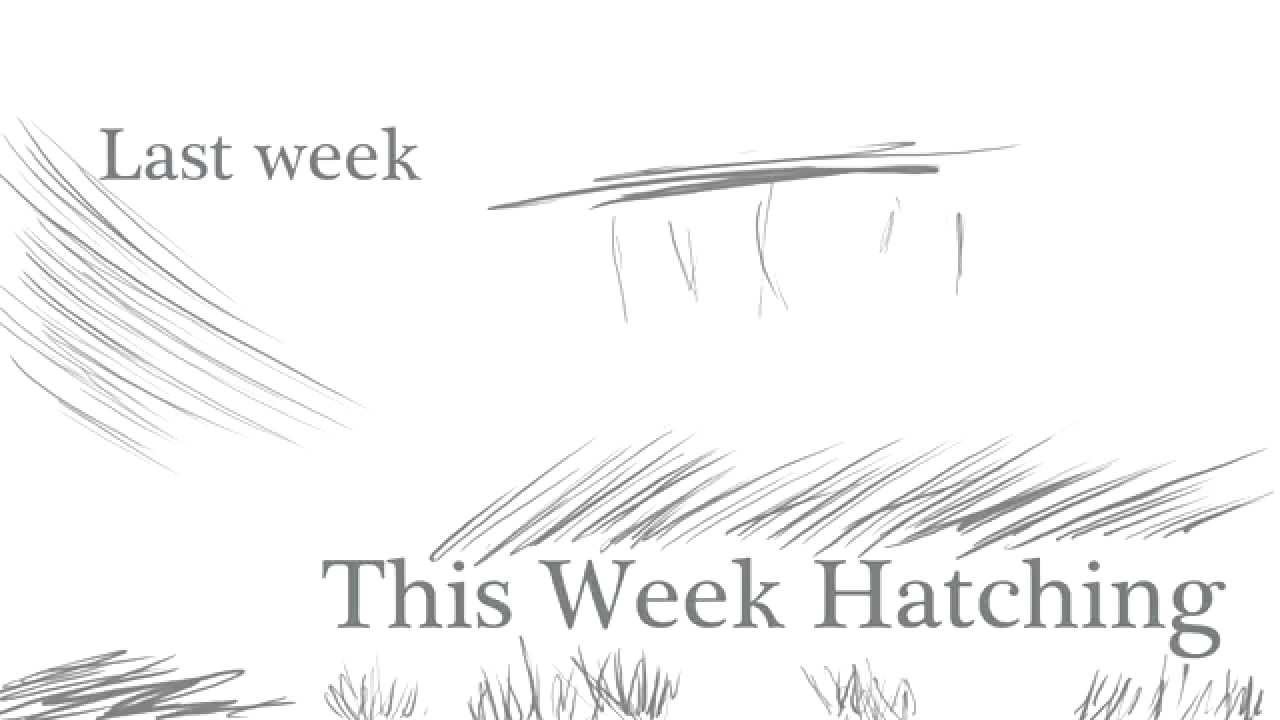 Art How to (ep.1):Hatching a Video tutorial