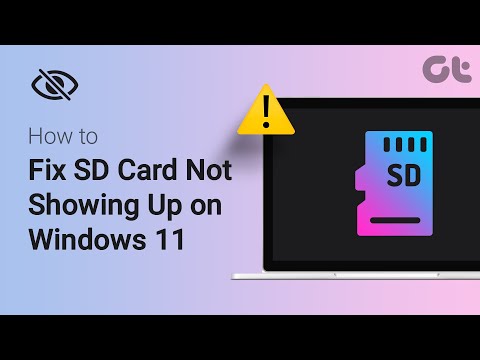 How to Fix SD Card Not Showing Up on Windows 11 | Why is the SD Card Not Detected on Windows 11?