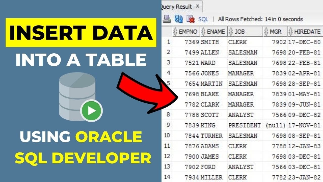 How to Insert Data into a Table using SQL Developer | Inserting Data into Tables | SQL for Beginners