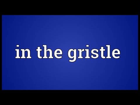 In the gristle Meaning