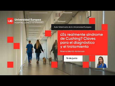 ¿Es realmente síndrome de Cushing? Claves para el diagnóstico y el tratamiento.