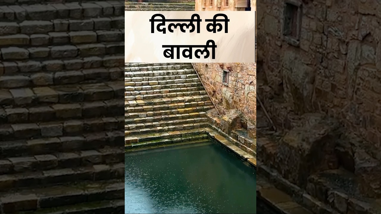 Delhi’s Baolis: The Forgotten Stepwells Preserving the City’s Water Heritage #baoli #delhi #shorts