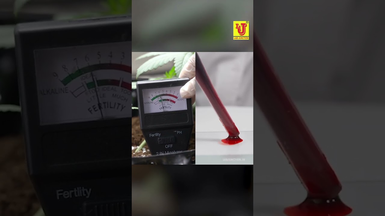 Testing Hemoglobin Levels With a Colorimeter