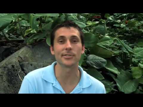 HEADLINE Defined!  ABCs of Internet Marketing Video