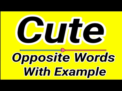 Cute opposite word in english | Cute opposite in Hindi | Cute ka opposite word kya hai