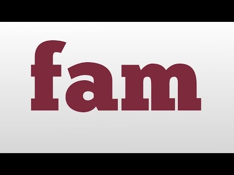 fam meaning and pronunciation