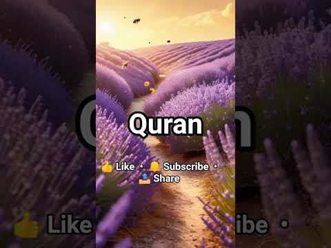Quran Urdu/Hindi Translation | Short Clip for Reflection #shorts #quranurdu #quran