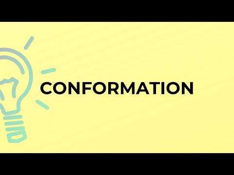 What is the meaning of the word CONFORMATION?