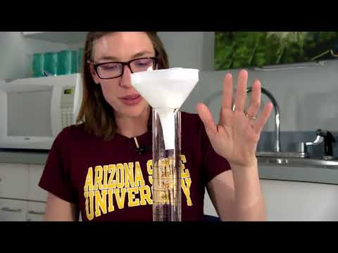 Banana DNA Experiment | best education satisfying video | Paradox Capricious