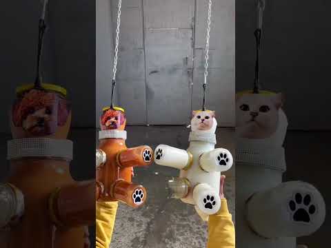 Dog Vs cat #bottles #shorts