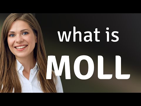 Moll — MOLL definition