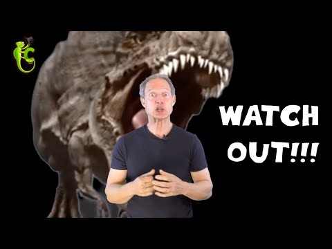 Learn words for dangerous situations