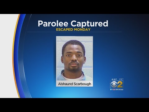 Parolee Caught After Escaping IL Department Of Corrections Agents