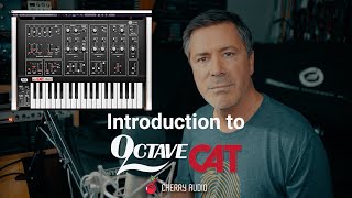 Cherry Audio Octave Cat - What To Know & Where To Buy | Equipboard