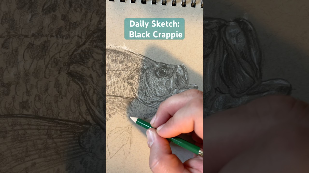 Who all is doing some FISHING this weekend?? 🙋🏻‍♂️ #dailysketch #fishing #crappie