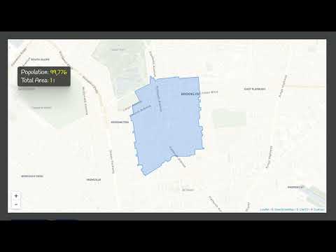 Zip Code 11226 (NY) Social & Economic Profile