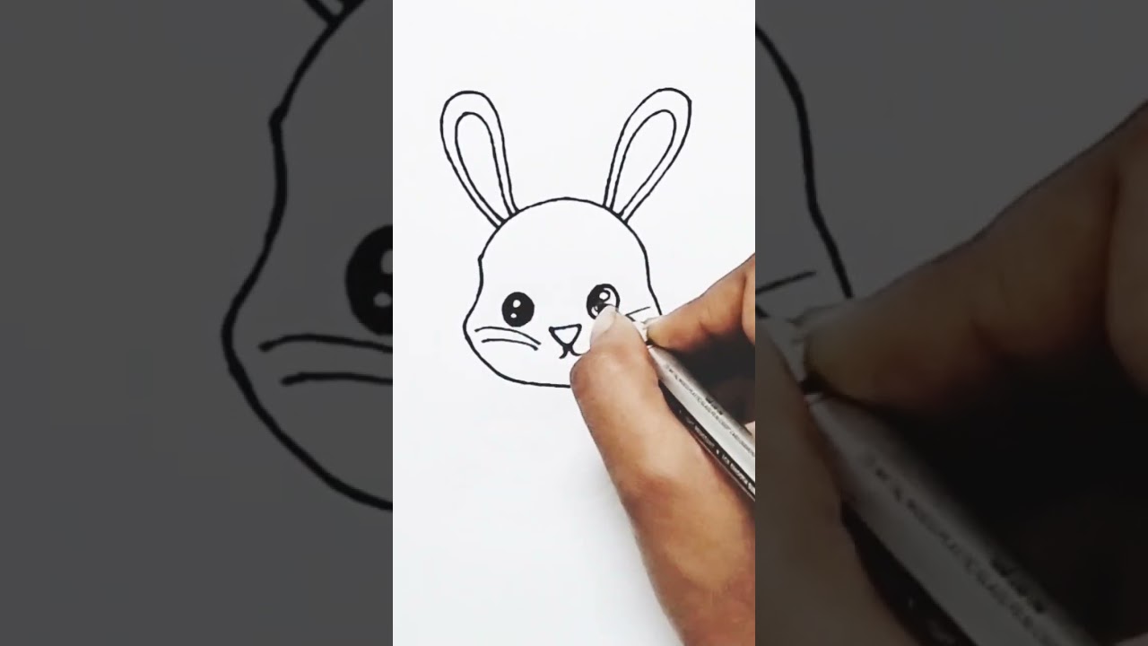🥰cute rabbit drawing easy