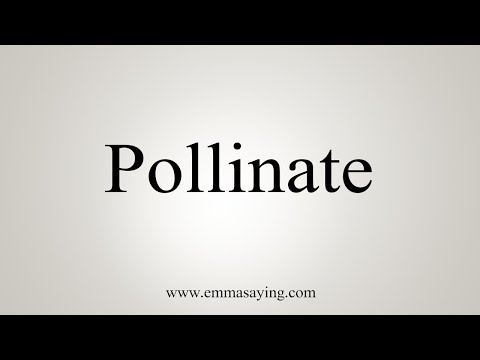 How To Say Pollinate