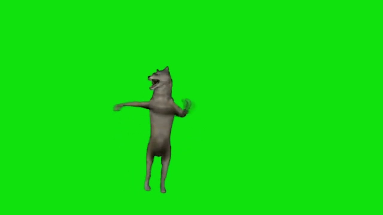 Dancing Wolf Coffin Dance Meme Green Screen Template