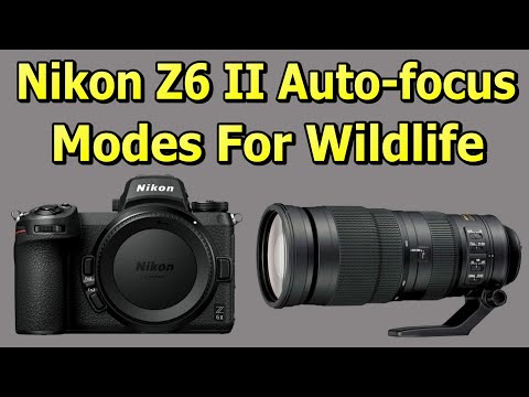 Nikon Z6 II: Wildlife photography autofocus modes (VOA060AE)