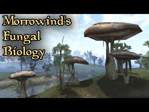 Steam Community :: The Elder Scrolls III: Morrowind