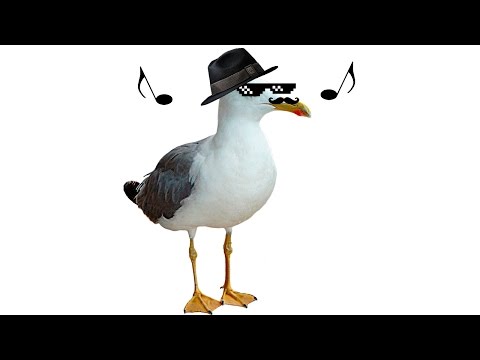 Steam Community :: Video :: Fallout 4 Seagull Jazz