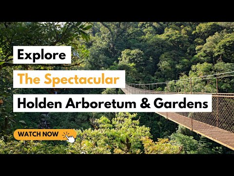 Ohio Route 7 Is The Longest State Scenic Drive