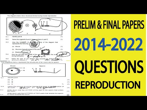 PRELIM PAPERS: Grade 12 life sciences Human reproduction: ovarian cycle : M.Saidi , Thundereduc