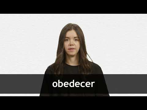 English Translation of “OBEDECER” | Collins Spanish-English Dictionary