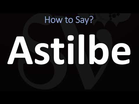 How to Pronounce Astilbe? (CORRECTLY)