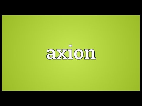 Axion Meaning