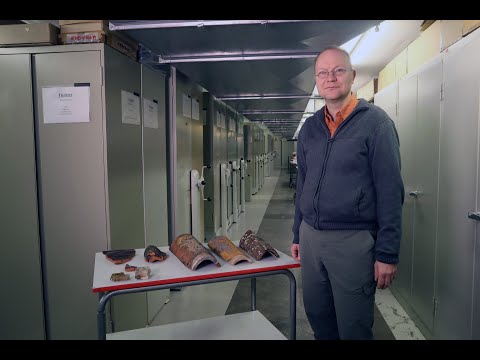 Heimische Arten: Flechten
