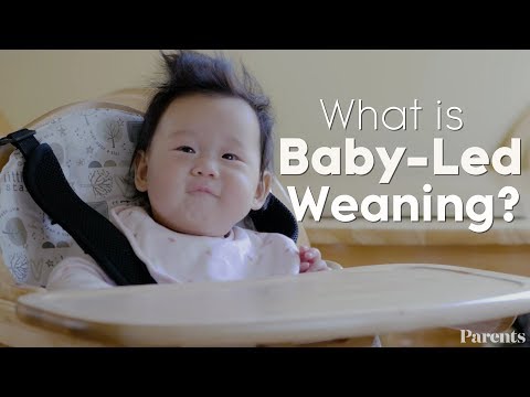 What is Baby-Led Weaning | Parents