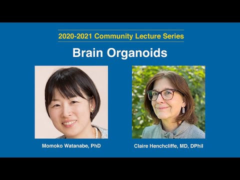 Lab-Grown Brains: New Models to Study Neurological Disorders - Momoko Watanabe & Claire Henchcliffe