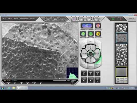 SEM: JEOL Neoscope Tabletop Scanning Electron Microscope