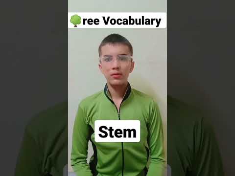 π³ree Vocabulary