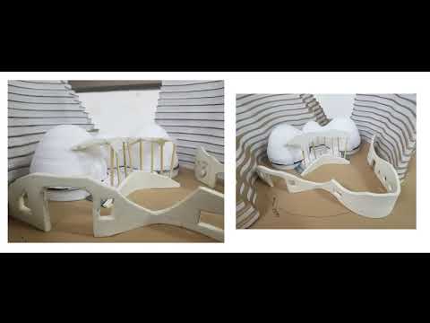 ANTHROPOMETRY & SHELTER - BY 1ST YEAR STUDENTS