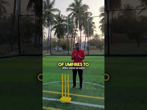 WHAT IF A BOWLER CHUCKS 🚨 IN CRICKET? | CHUCKING IN CRICKET | VANCHI #cricketlaws