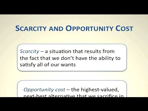 Introduction to Economics: Scarcity and Opportunity Cost | Episode 35