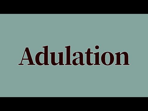 Adulation Meaning and Definition