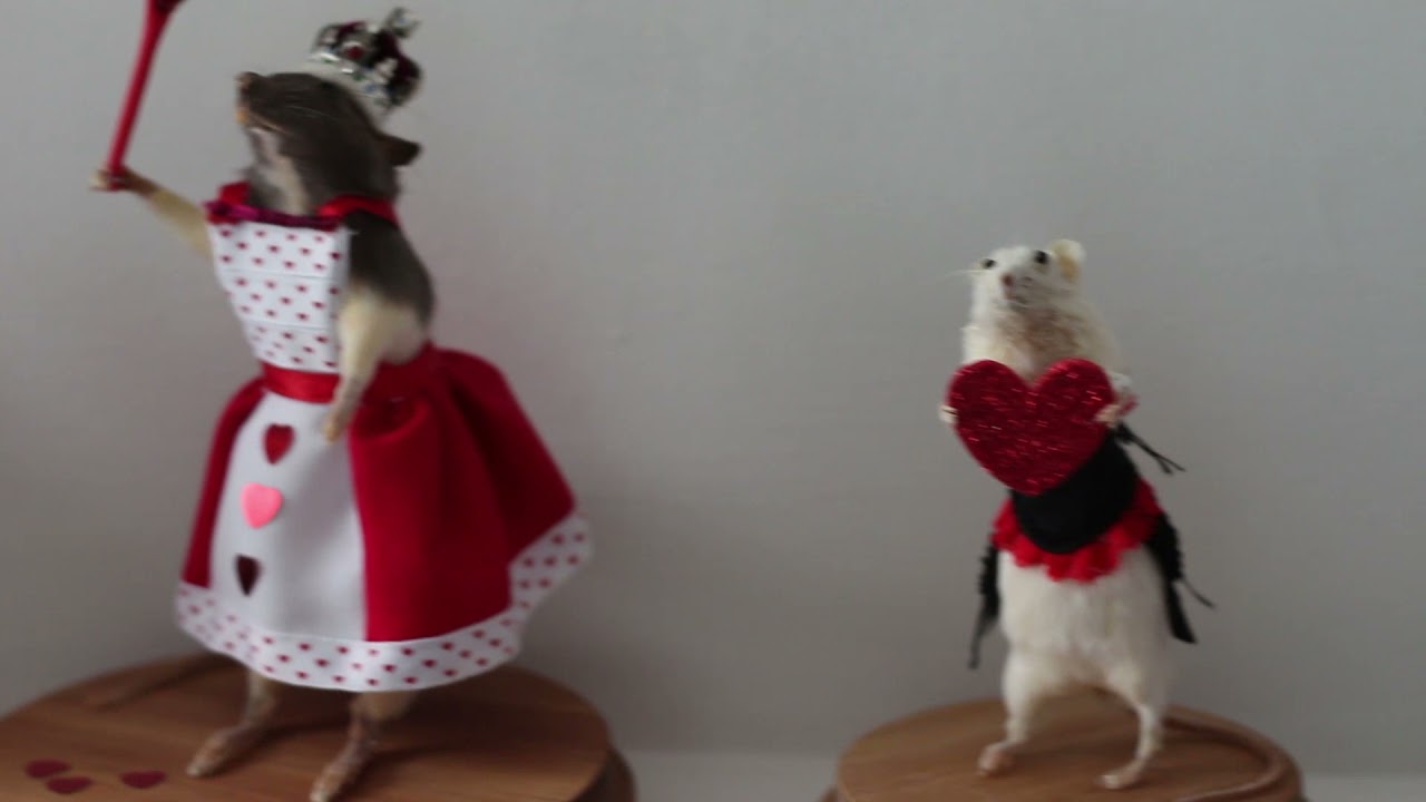 Mouse Magic Taxidermy #VirtualDulwichFestival​