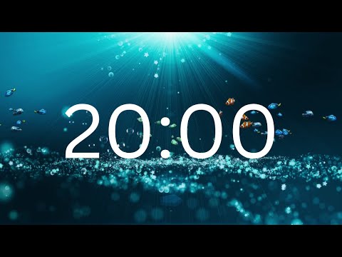 20 Minutes Timer With Relaxing Music