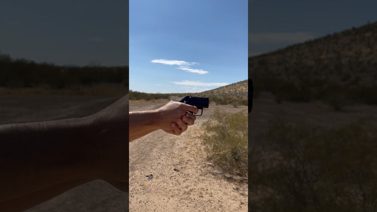 Worst gun ever? Pt. 2 (Testing New Ammo) #shooting #derringer