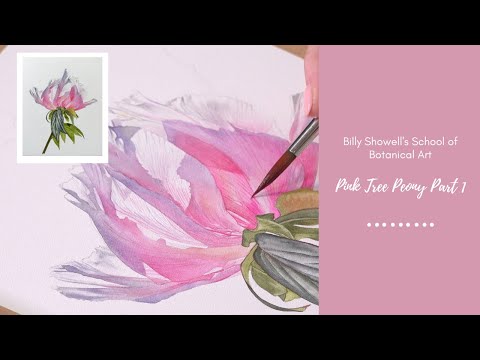 Pink Tree Peony Part 1 Preview with Billy Showell ⎮Watercolour Beautiful