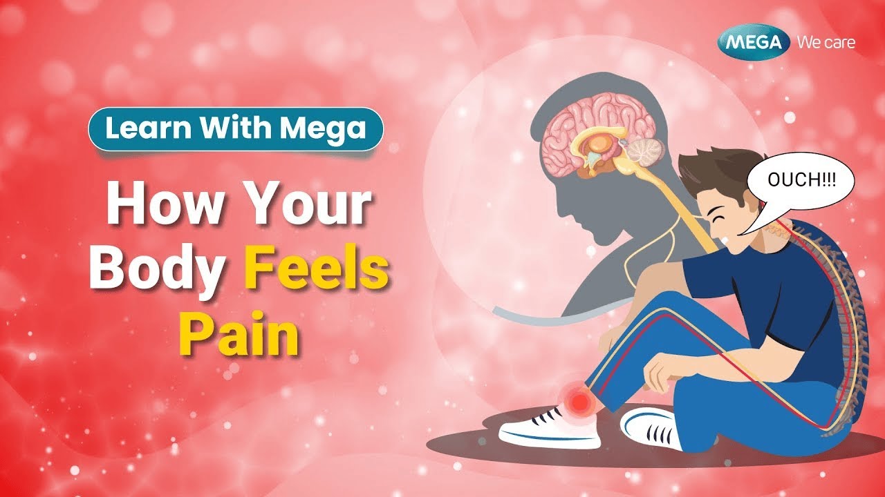 How Your Body Feels Pain: Understanding Pain Signals & Relief Tips